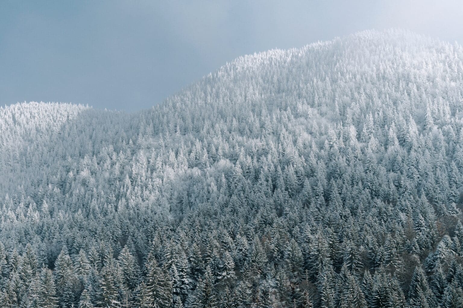 How to Improve Your CDP Score | Achilles